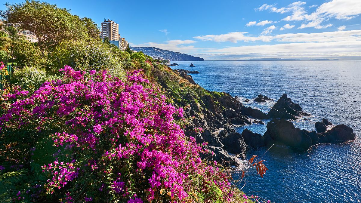 Como explorar a Madeira e o que visitar: guia completo para 2025 ...